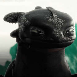 Toothless Meme Bored Eyes GIF | GIFDB.com