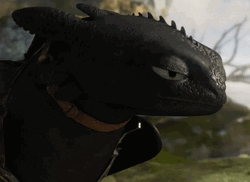 Toothless Meme Murmuring In Annoyance GIF | GIFDB.com