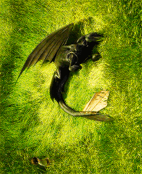 Toothless Rolling On Grass GIF | GIFDB.com