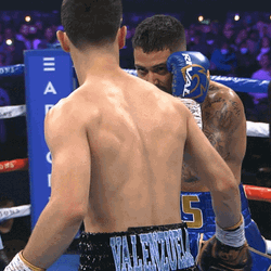 Top Rank Boxing Knockout GIF | GIFDB.com