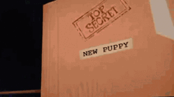Top Secret New Puppy Gotcha File GIF | GIFDB.com