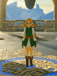 Totk GIFs | GIFDB.com