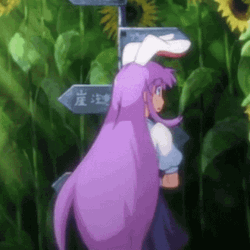 Touhou Moon Rabbit Reisen Watermelon Turn Around GIF | GIFDB.com