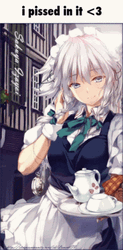 Touhou Series Beautiful Sakuya Izayoi Offers Tea GIF | GIFDB.com
