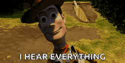 Toy Story Woody I Hear Everything GIF | GIFDB.com