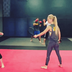 Woman Martial Art Training Kicks GIF | GIFDB.com