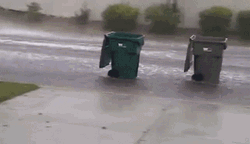 Trash Bins Rain Race GIF | GIFDB.com