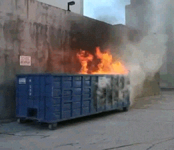 Trash GIFs | GIFDB.com