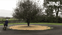 Travis Neil Primrose Driving In Circle Backwards GIF | GIFDB.com