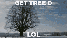 Tree In Every Season Get Tree Lol Meme GIF | GIFDB.com