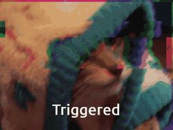 Triggered Hooded Cat GIF | GIFDB.com