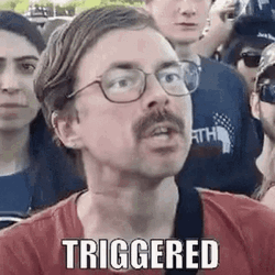 Triggered Protester With Moustache GIF | GIFDB.com