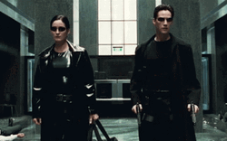Trinity And Neo Matrix GIF | GIFDB.com