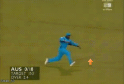 Trip Catch In Crickets Meme Game GIF | GIFDB.com