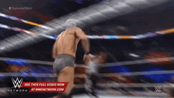 Triple Lindy Ring Dive Claudio Castagnoli Wwe GIF | GIFDB.com
