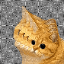 Trippy Felix Cat GIF | GIFDB.com