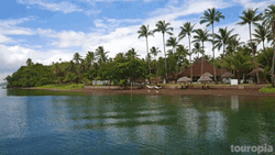 Tropical Beach Philippines Donsol Bicol GIF | GIFDB.com