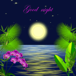 Tropical Good Night Summer Art GIF | GIFDB.com