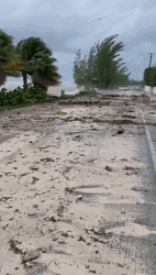 Tropical Storm Aftereffects Scattered Debris GIF | GIFDB.com