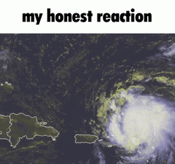 Tropical Storm Moving Honest Reaction Meme GIF | GIFDB.com
