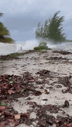 Tropical Storm Outcome Debris Washed Ashore GIF | GIFDB.com
