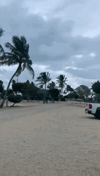 Tropical Storm Strong Wind Blowing GIF | GIFDB.com