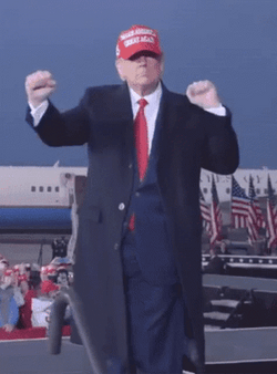 Trump Dance On Airport GIF | GIFDB.com
