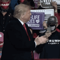 Trump Dance On Campaign GIF | GIFDB.com