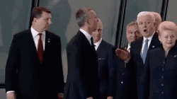 Trump World Leaders Nato Summit GIF | GIFDB.com