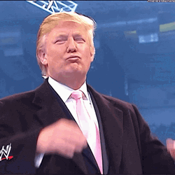 Trump Wwe Clapping GIF | GIFDB.com