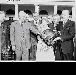 Turkey Celebration Gobble GIF | GIFDB.com