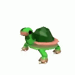 Turtle Dancing With Its Head GIF | GIFDB.com