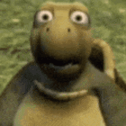 Turtle Zooming Surprise Reaction Meme GIF | GIFDB.com