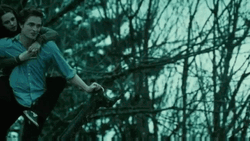 Twilight Tree Climbing GIF | GIFDB.com
