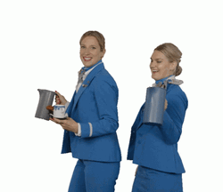Two Flight Attendants Landed GIF | GIFDB.com