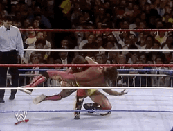 Ultimate Warrior Carrying Opponent GIF | GIFDB.com
