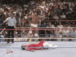 Ultimate Warrior Standing Up GIF | GIFDB.com
