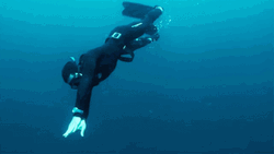 Underwater Scuba Diving GIF | GIFDB.com