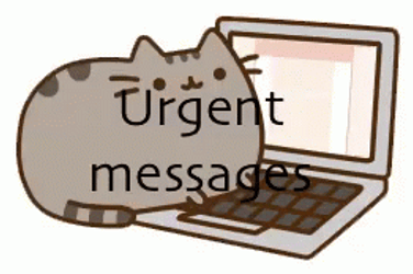 Urgent Messages Of A Cat GIF | GIFDB.com
