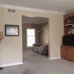 Vacuum Cleaner Chasing A Guy GIF | GIFDB.com