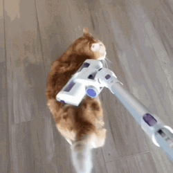 Vacuum GIFs - Download & Share | GIFDB.com