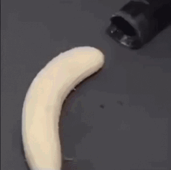 Vacuum GIFs - Download & Share | GIFDB.com
