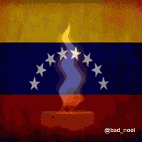 Venezuela Flag Animation GIF | GIFDB.com