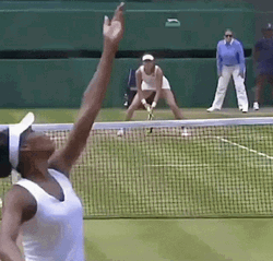 Venus Williams Service Ace GIF | GIFDB.com