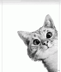 Very Good Cat Nice GIF | GIFDB.com