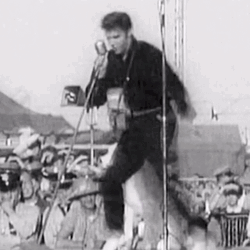 Vintage Elvis Performing Hip Shake GIF | GIFDB.com