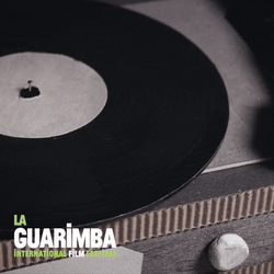 Vinyl Spinning Record Player GIF | GIFDB.com