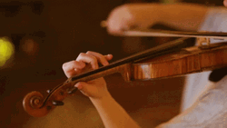 Violin Classy Performance GIF | GIFDB.com
