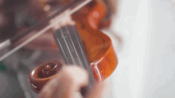 Violin Playing Music GIF | GIFDB.com