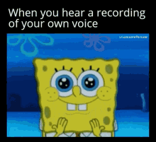 Voice Recording Spongbob Memes GIF | GIFDB.com